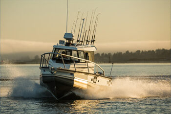 Global Support - Maxwell